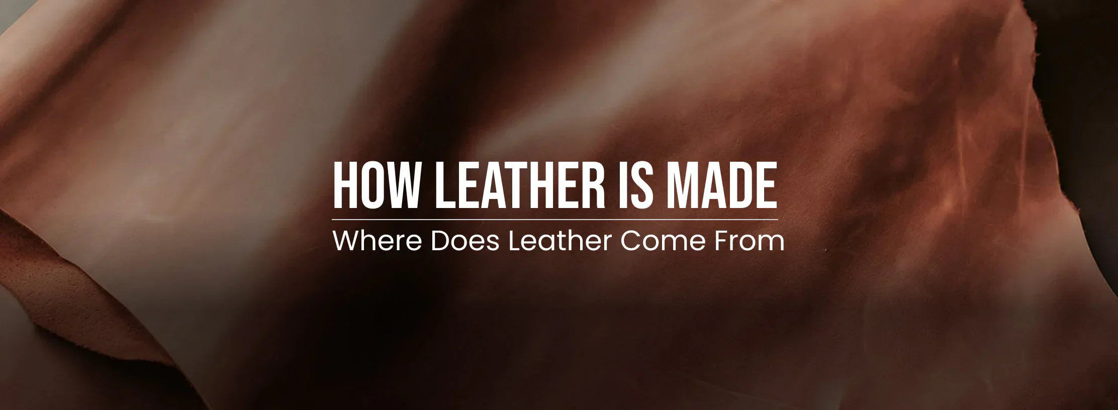 What is Leather Made of & Where Does Leather Come From? – JIM & MARY LOU